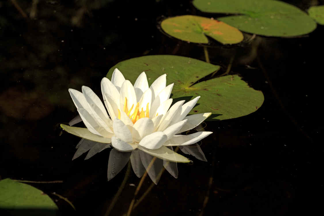 Douglas Weir Photography – by Douglas Weir